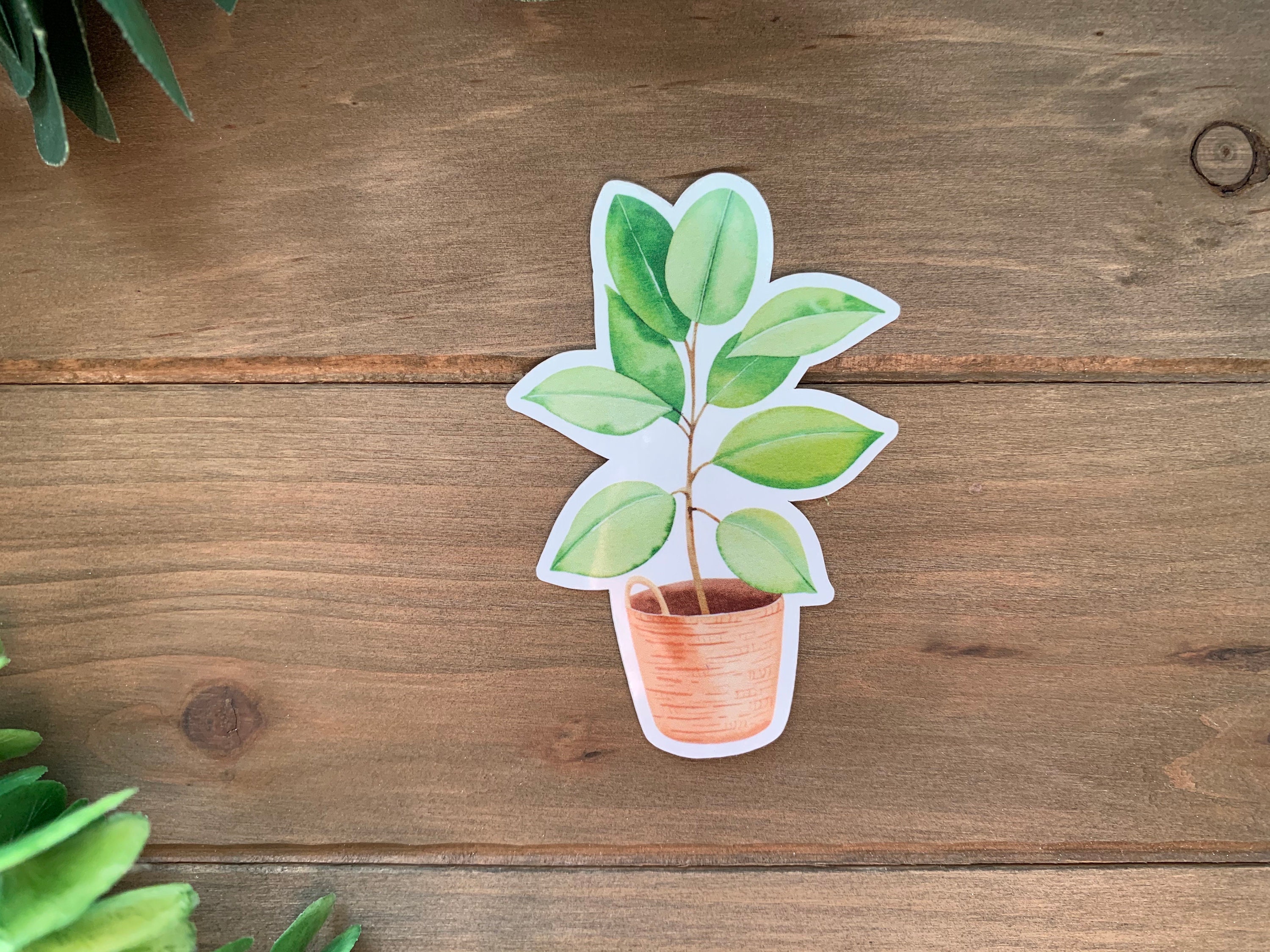 Boho WATERCOLOR HOUSEPLANT Sticker Pack Plants Water | Etsy