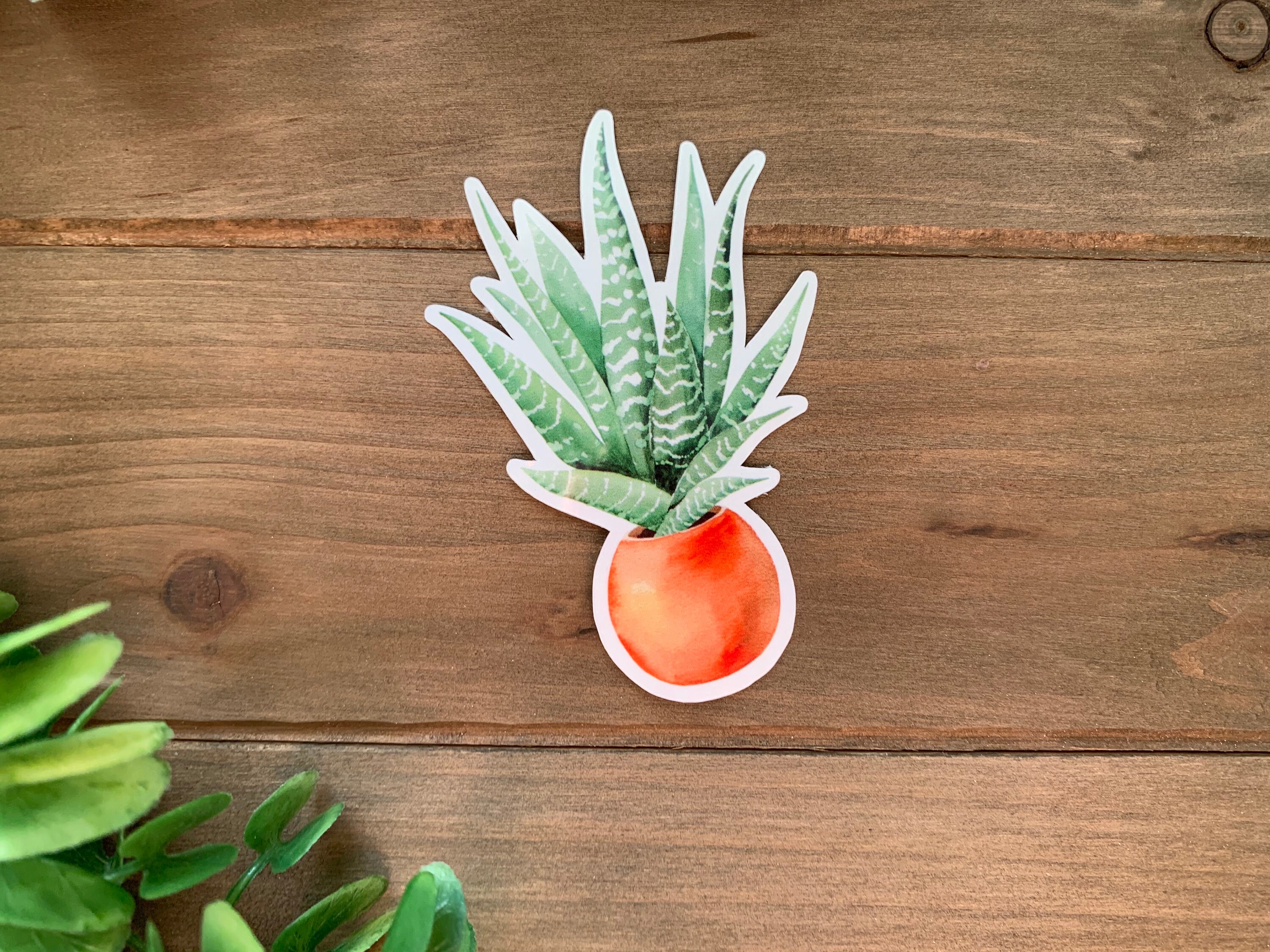 Boho WATERCOLOR HOUSEPLANT Sticker Pack Plants Water | Etsy