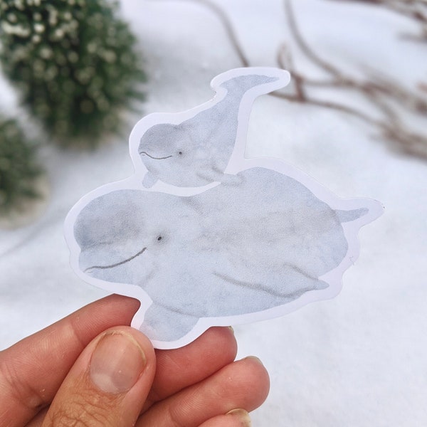 Baby Beluga - Etsy