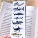 Shark Affirmation Sticker Set Mako Shark Great White Shark - Etsy