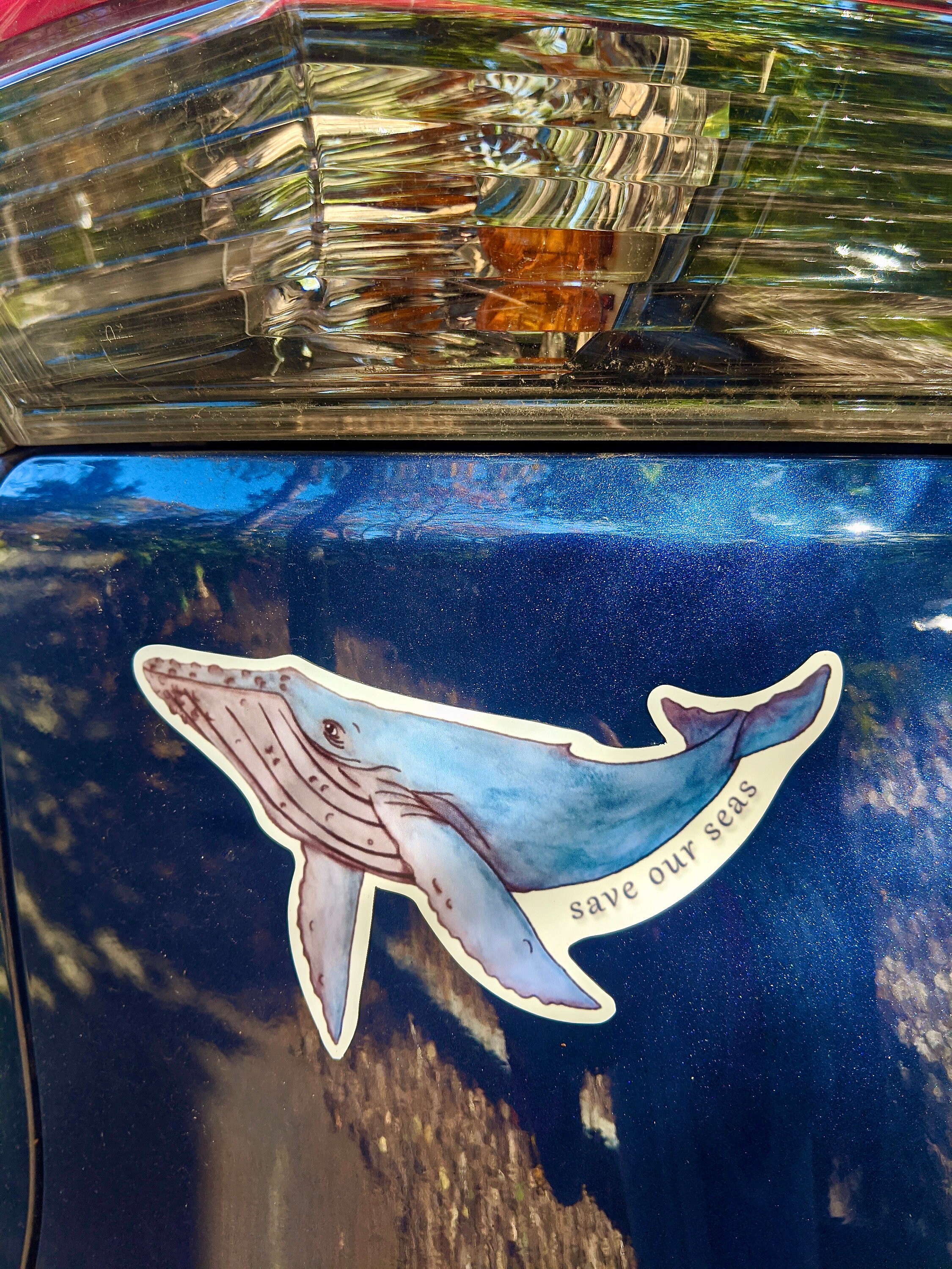 Humpback Whale Car Magnet Whale Magnet Humpback Whale | Etsy