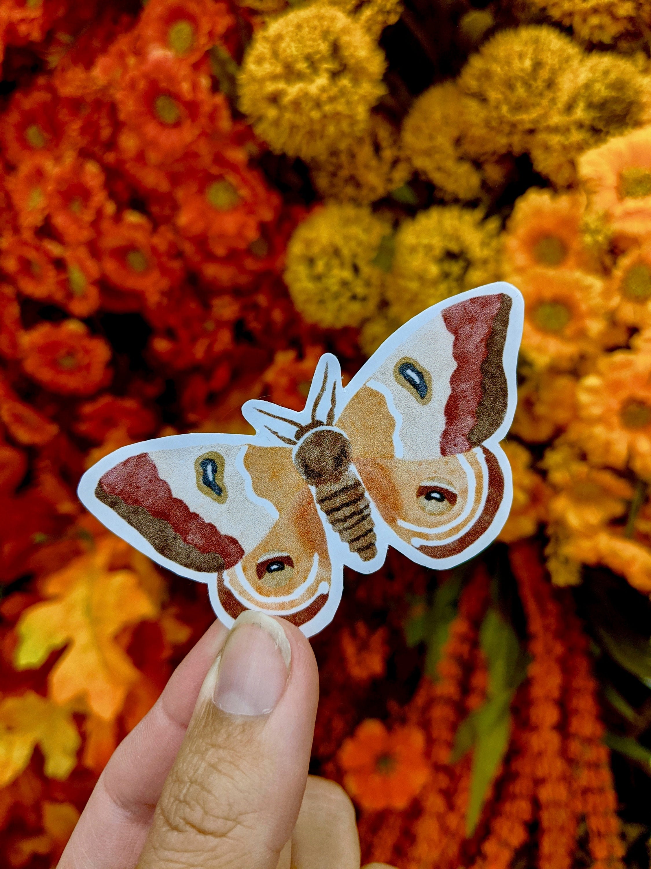 Silk Moth Sticker Autumnal Moth Sticker Moth Sticker Moths | Etsy