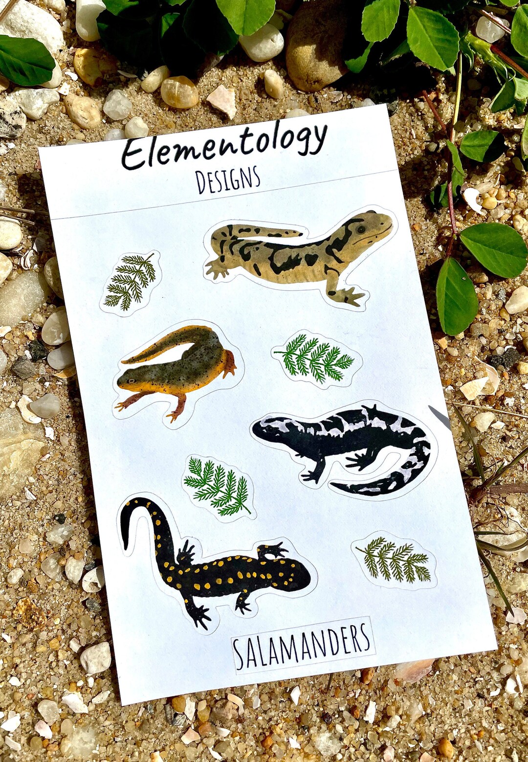 Salamander Sticker Sheet Salamander Stickers Salamander - Etsy