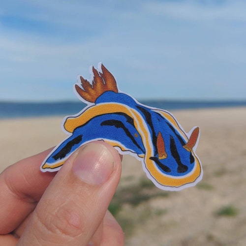 Nudibranch Sticker Nudibranch Blue Nudibranch Sea Slug - Etsy