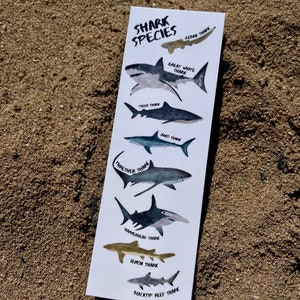 Shark Species Bookmark, Shark Bookmark, Ocean Bookmark, Bookmark, Gifts ...
