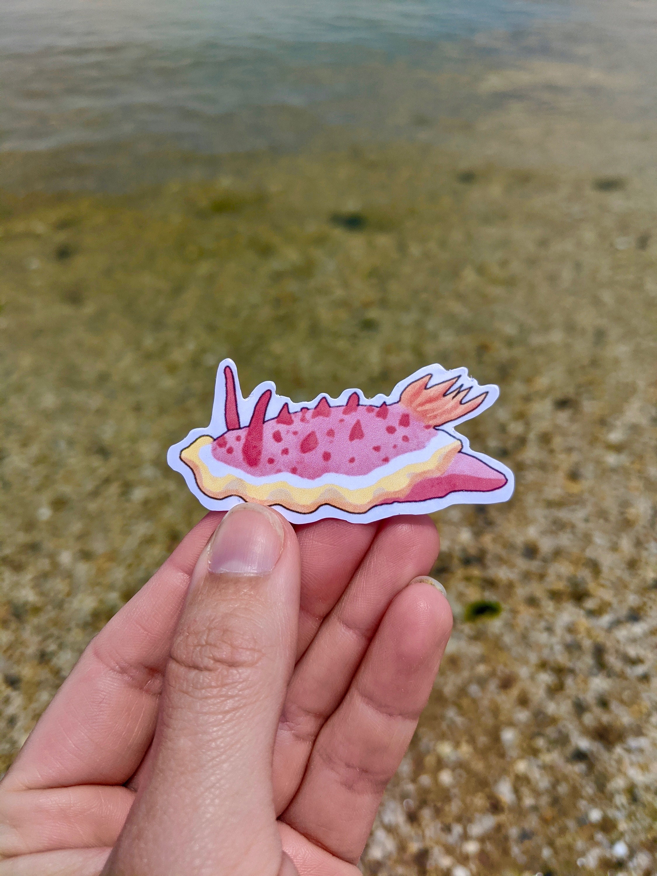 Nudibranch Sticker Nudibranch Pink Nudibranch Sea Slug - Etsy