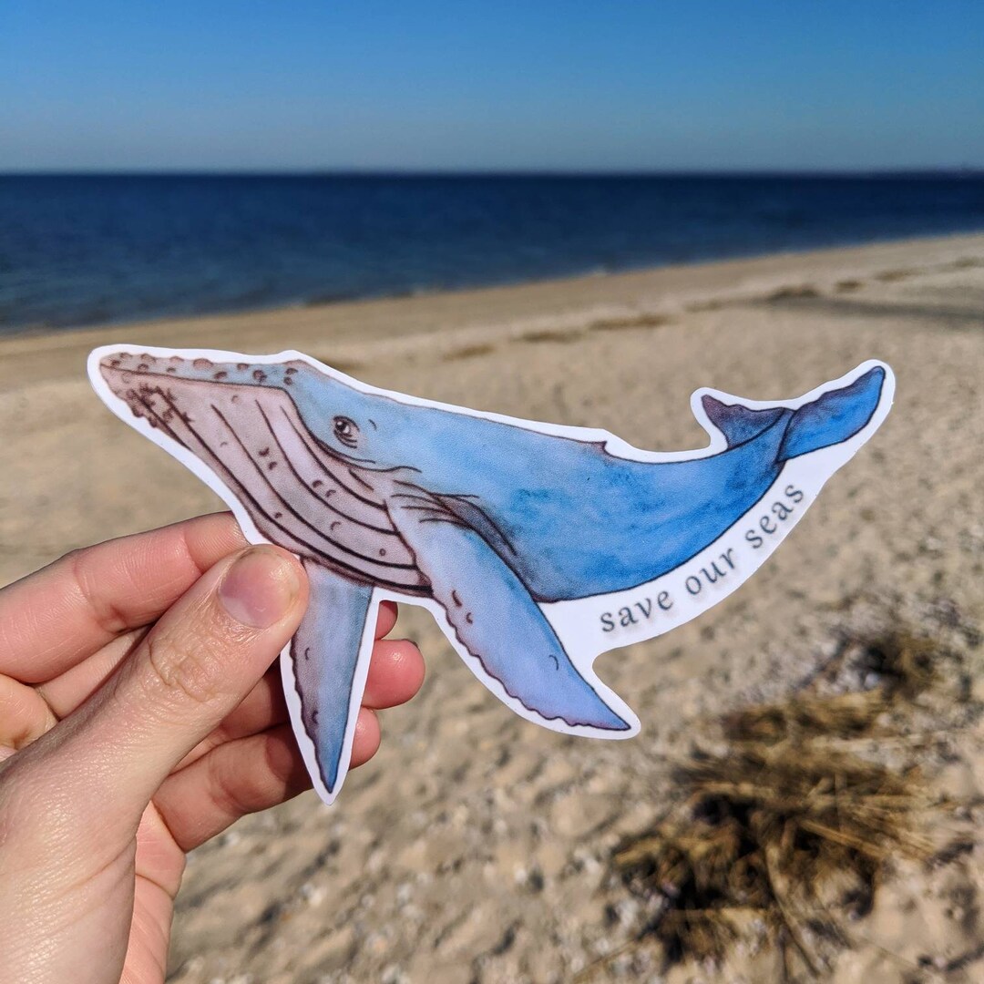 Humpback Whale Sticker Humpback Whale Whale Whales Whale - Etsy