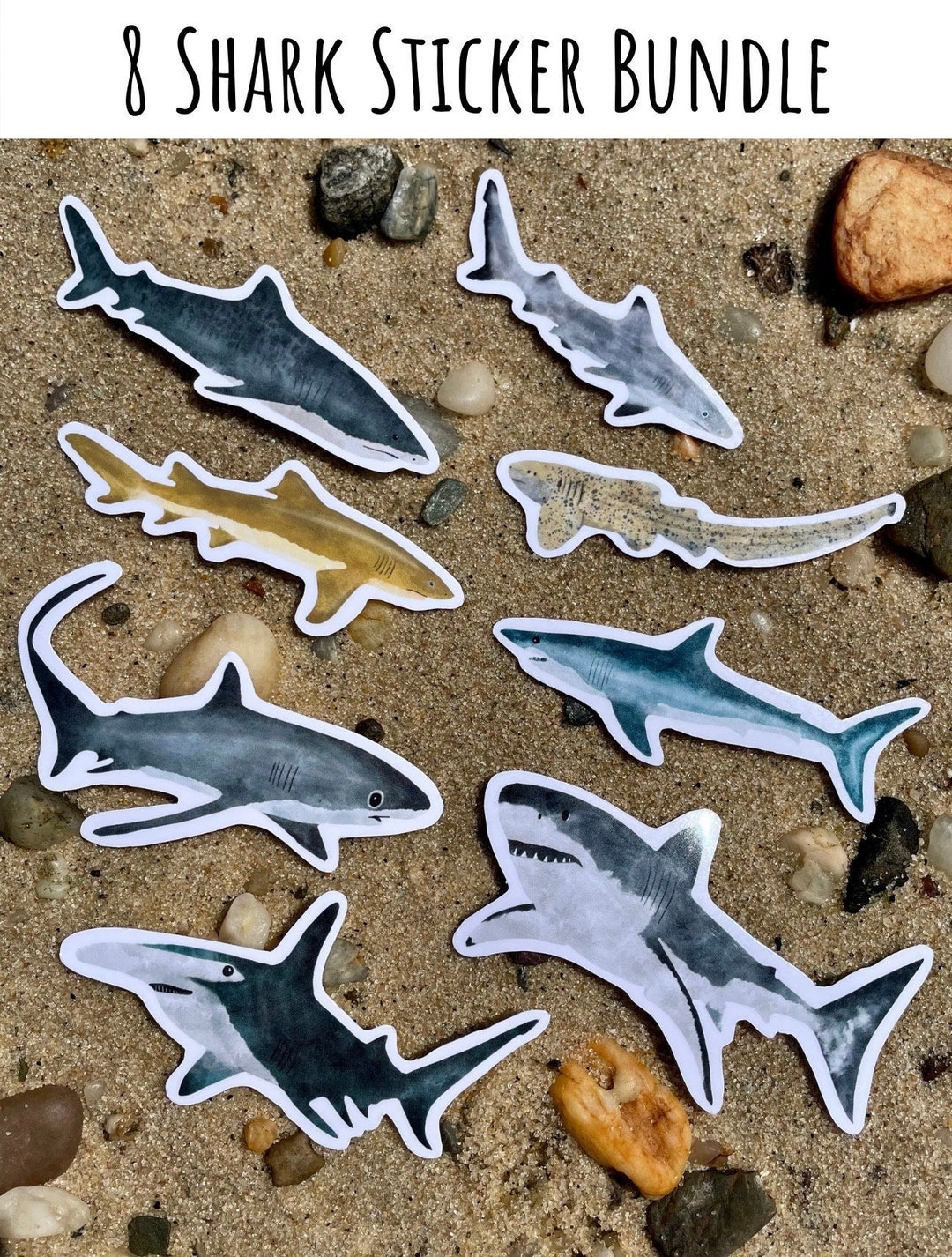 Shark Species Sticker Bundle Shark Stickers Sticker Set - Etsy