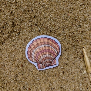 Scallop Shell Sticker Scallop Sticker Shell Sticker | Etsy