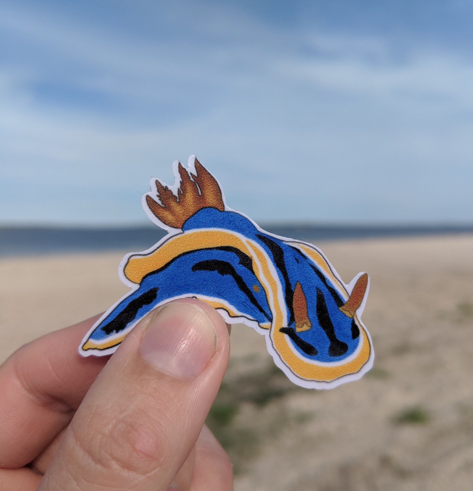 Nudibranch Sticker Nudibranch Blue Nudibranch Sea Slug | Etsy