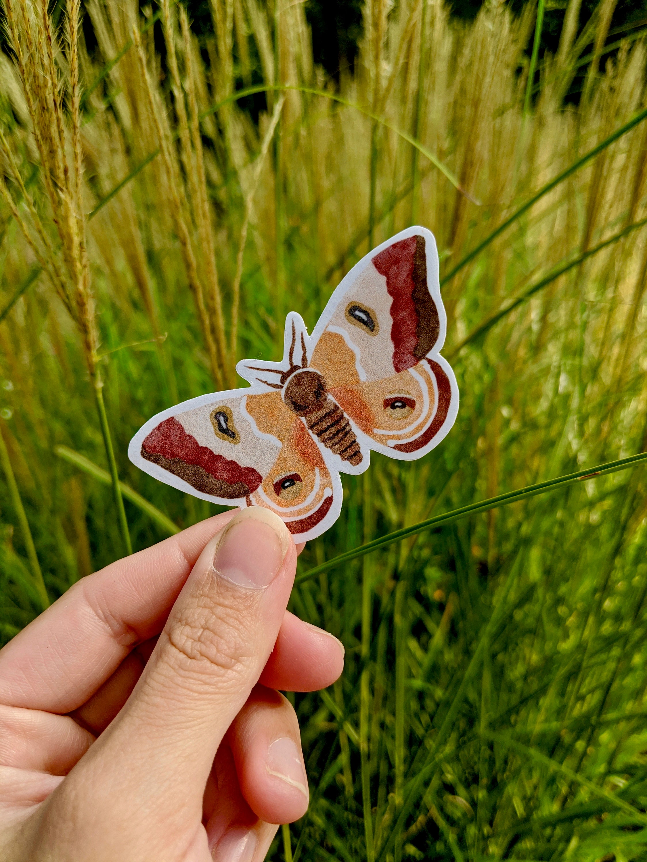Silk Moth Sticker Autumnal Moth Sticker Moth Sticker Moths | Etsy