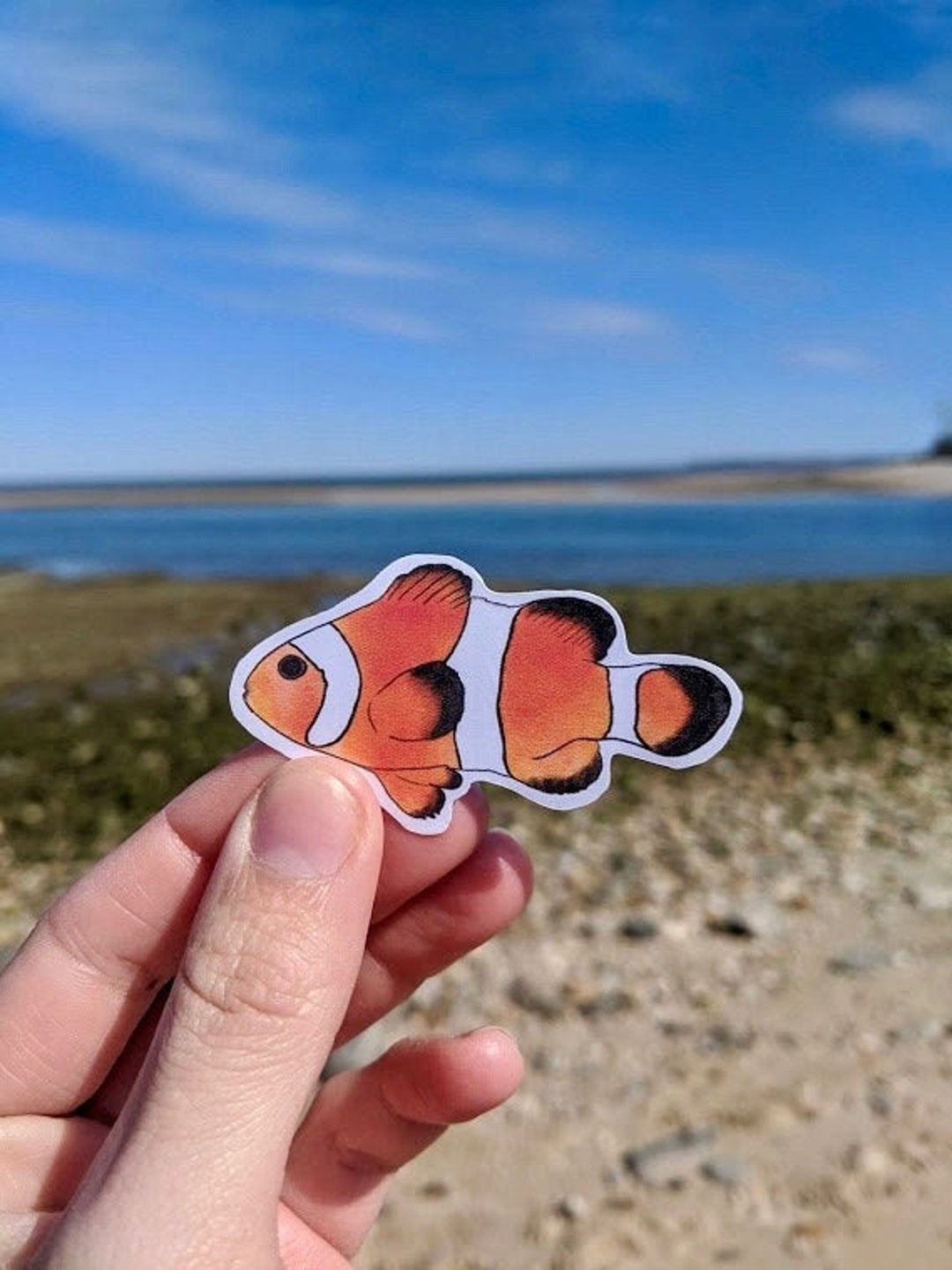 Clownfish Sticker Clownfish Fish Sticker Tropical Fish - Etsy