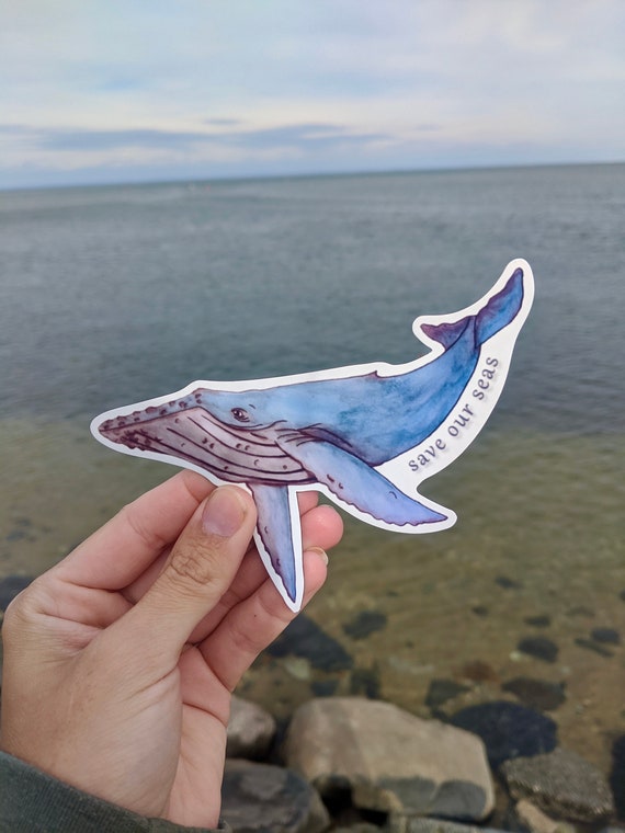 Humpback Whale Car Magnet Whale Magnet Humpback Whale | Etsy