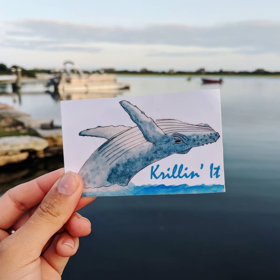 Humpback Whale Sticker, Humpback Whale, Whales, Whale, Whale Sticker ...