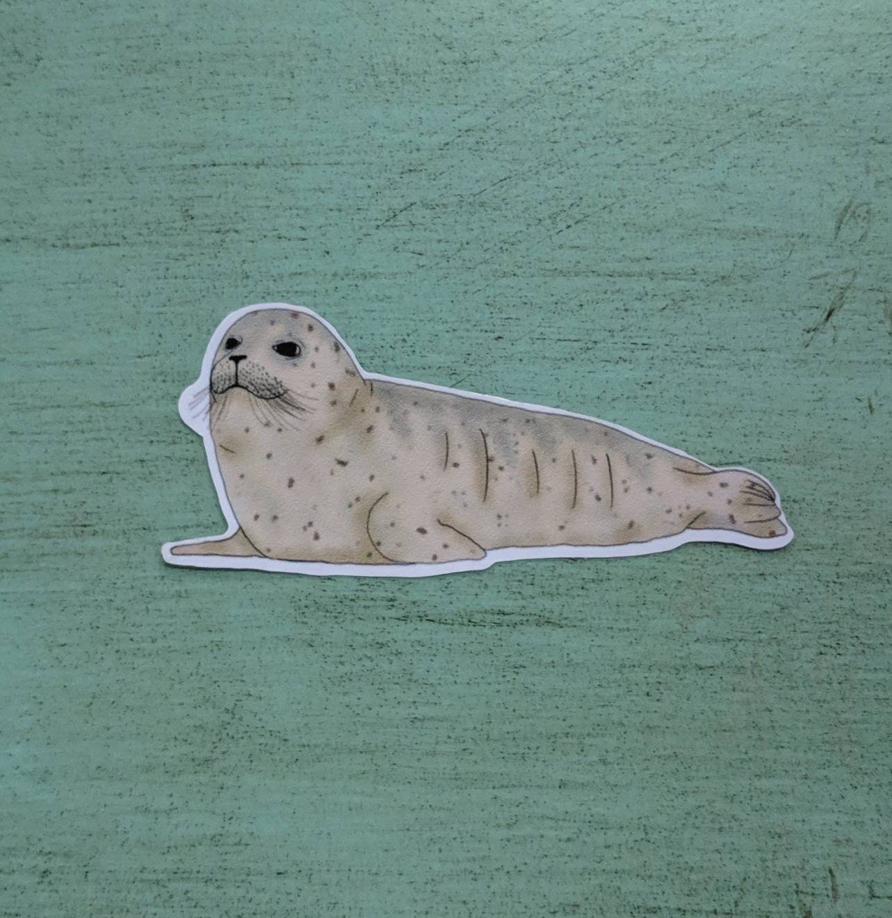 Harbor Seal Sticker Seal Sticker Seal Harbor Seal Ocean - Etsy