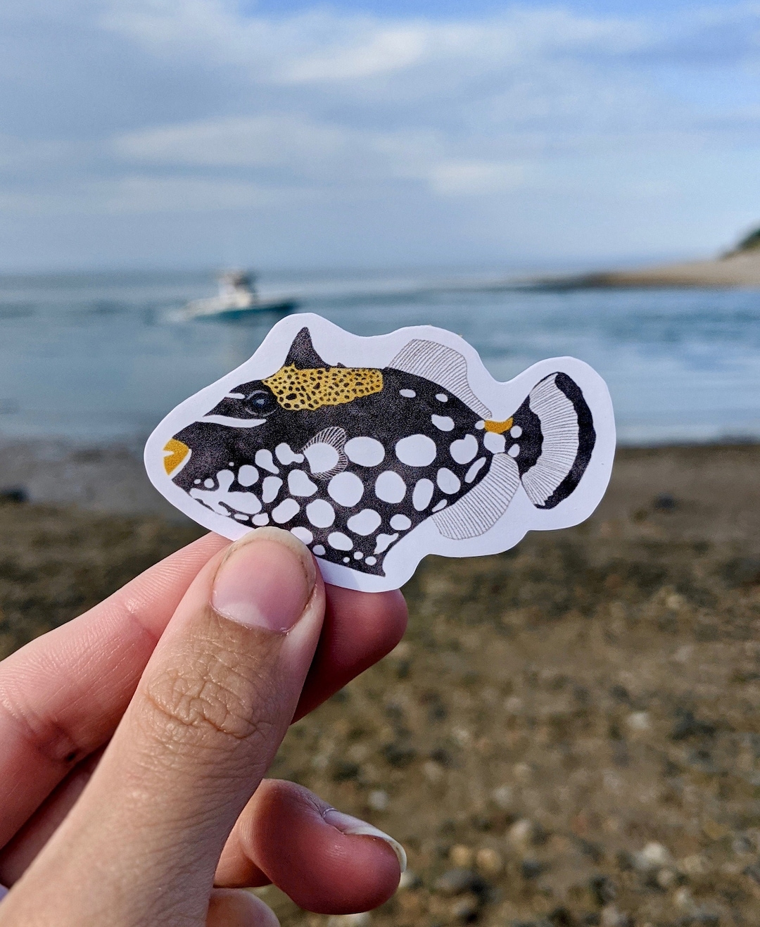 Clown Triggerfish Sticker, Triggerfish, Triggerfish Sticker, Fish ...