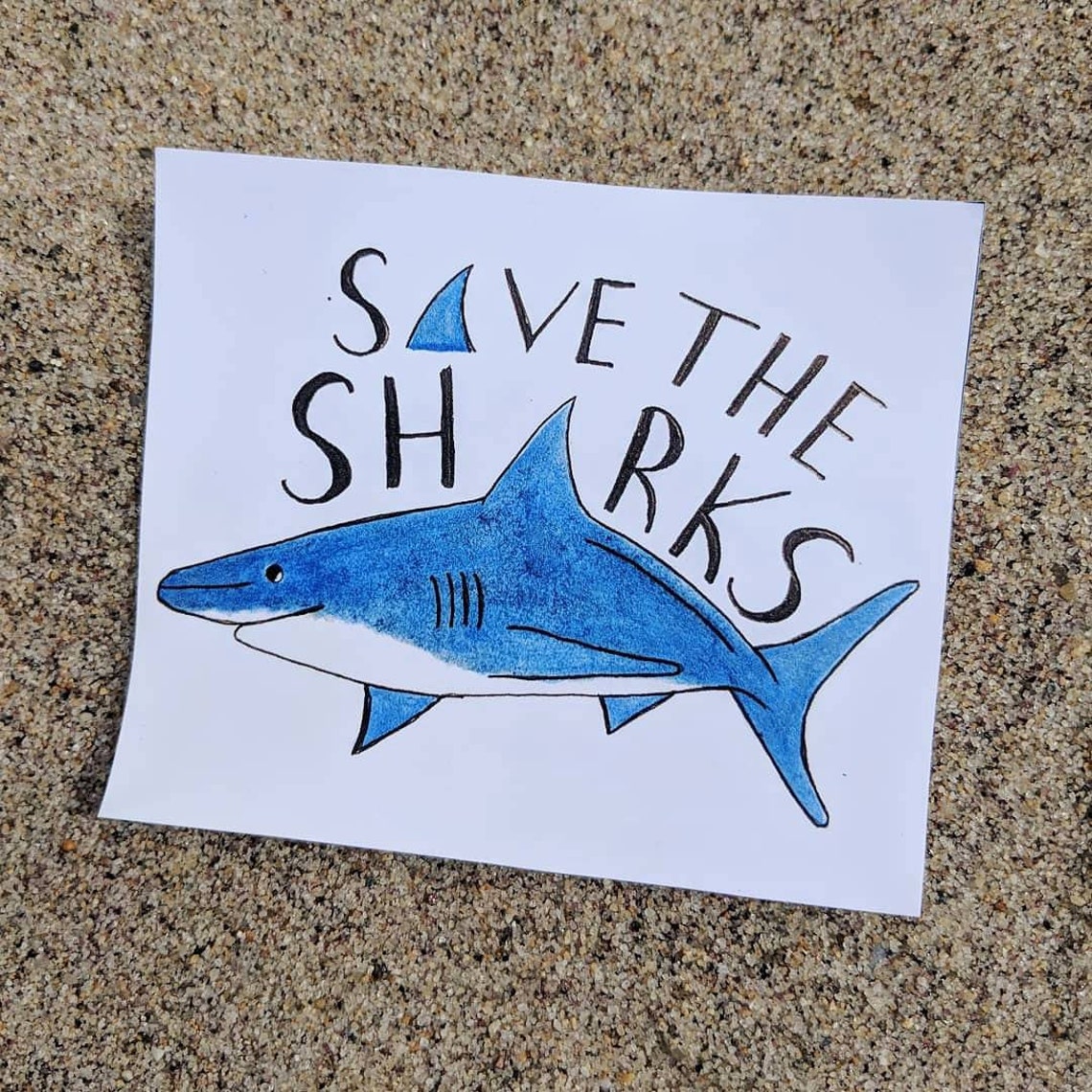 Shark Sticker Save the Sharks Sticker Save the Sharks | Etsy