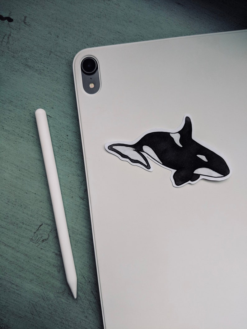 Orca Whale Sticker Killer Whale Sticker Orca Sticker Whale | Etsy