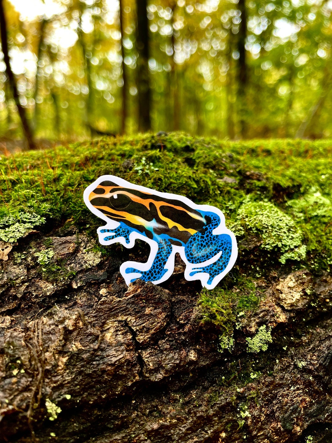 Amazon Poison Dart Frog Sticker, Frog Sticker, Poison Dart Frog, Frog ...