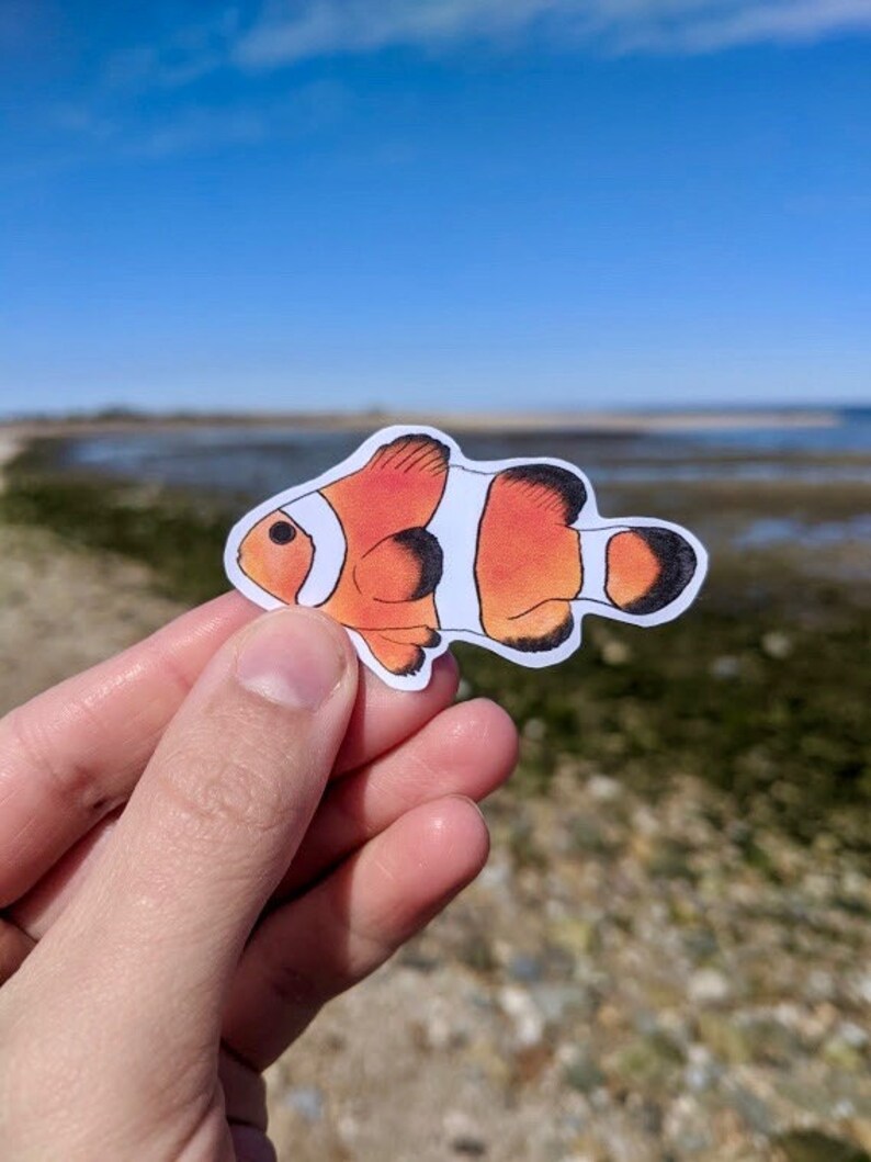 Clownfish Sticker Clownfish Fish Sticker Tropical Fish | Etsy