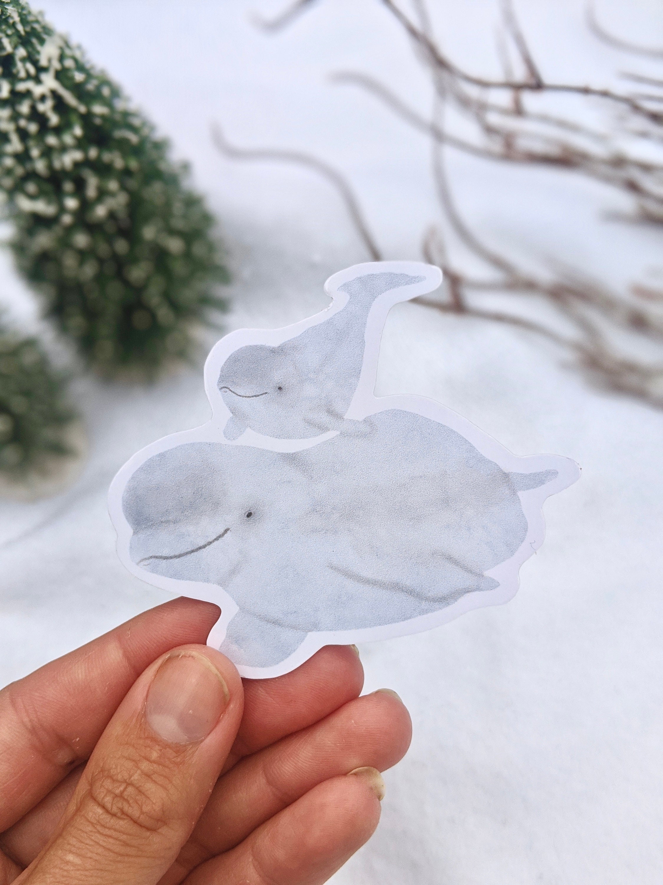 Beluga Whale Sticker Beluga Whale Family Baby Beluga Whale - Etsy
