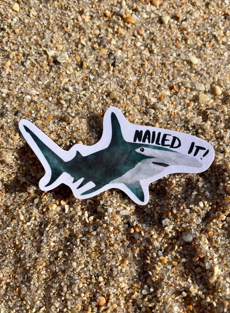 Shark Affirmation Sticker Set Mako Shark Great White Shark - Etsy