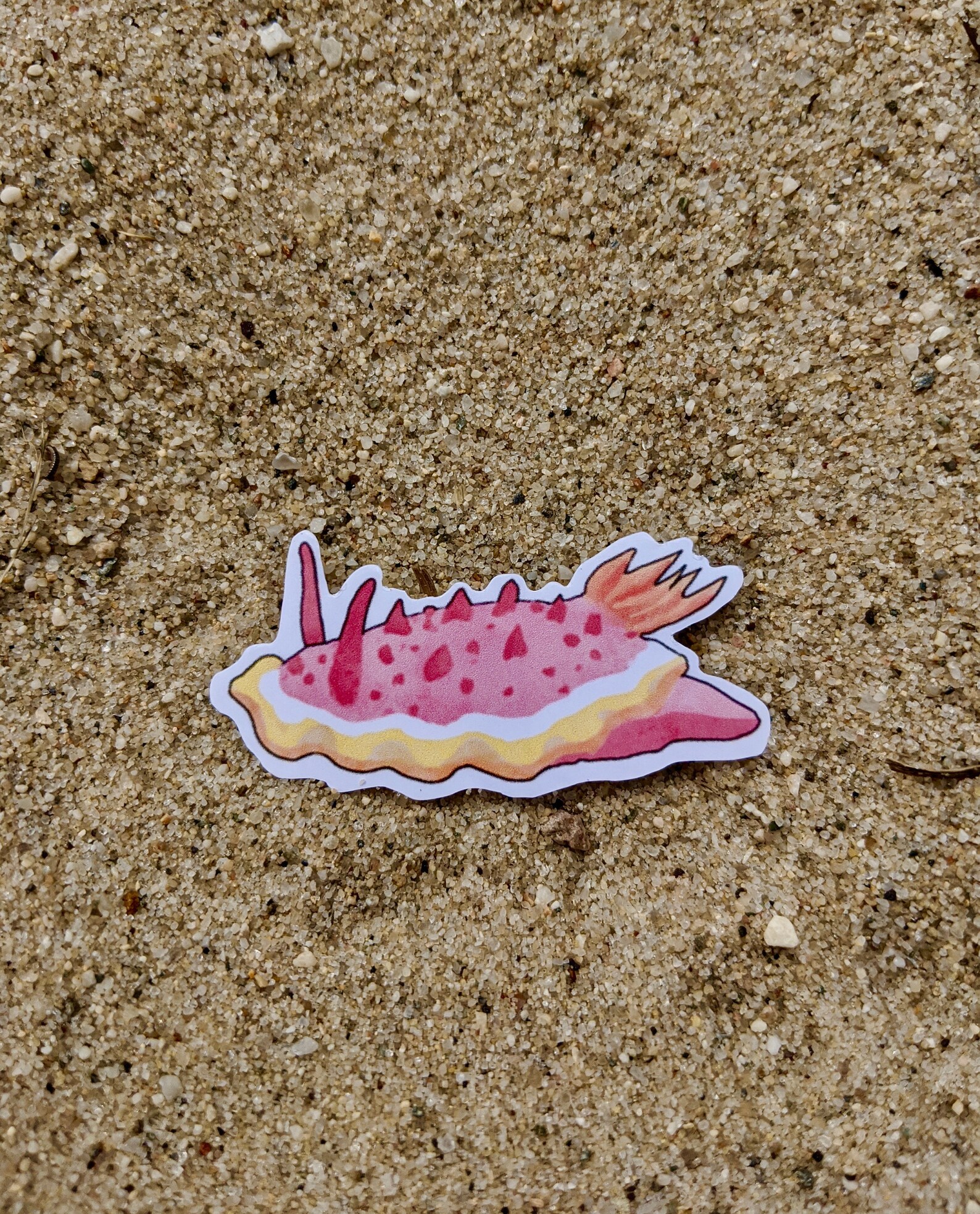 Nudibranch Sticker Nudibranch Pink Nudibranch Sea Slug - Etsy