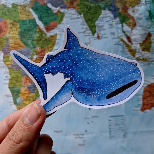 Whale Shark Sticker Whale Shark Fish Sticker Ocean | Etsy