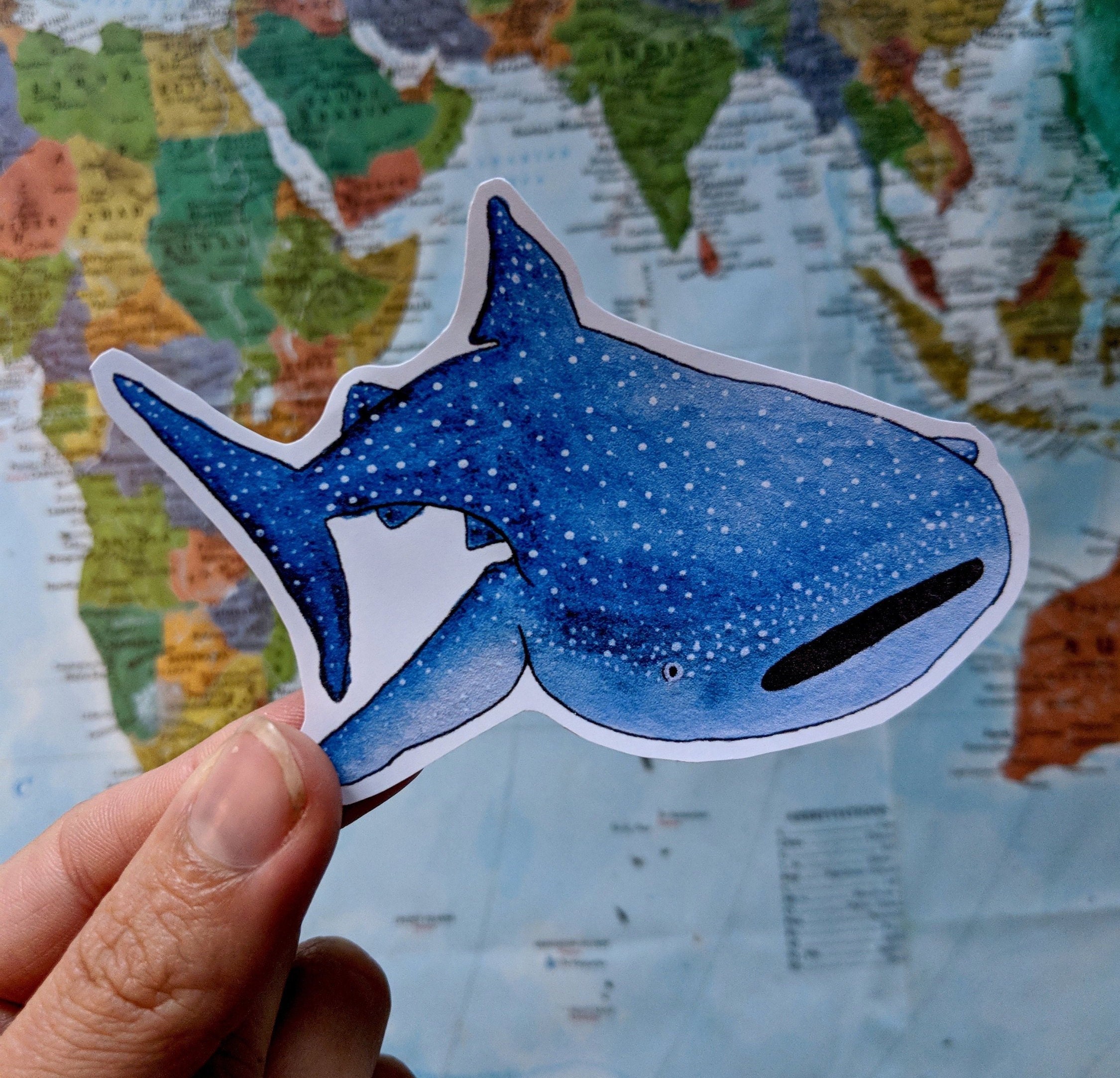 Whale Shark Sticker Whale Shark Fish Sticker Ocean | Etsy