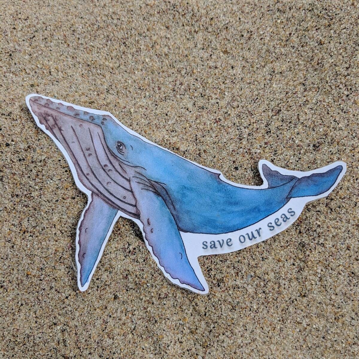 Humpback Whale Sticker Humpback Whale Whale Whales Whale | Etsy