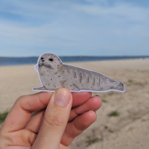 Sticker Harbor Seal Stickers for Hydroflask Water Bottle - Etsy