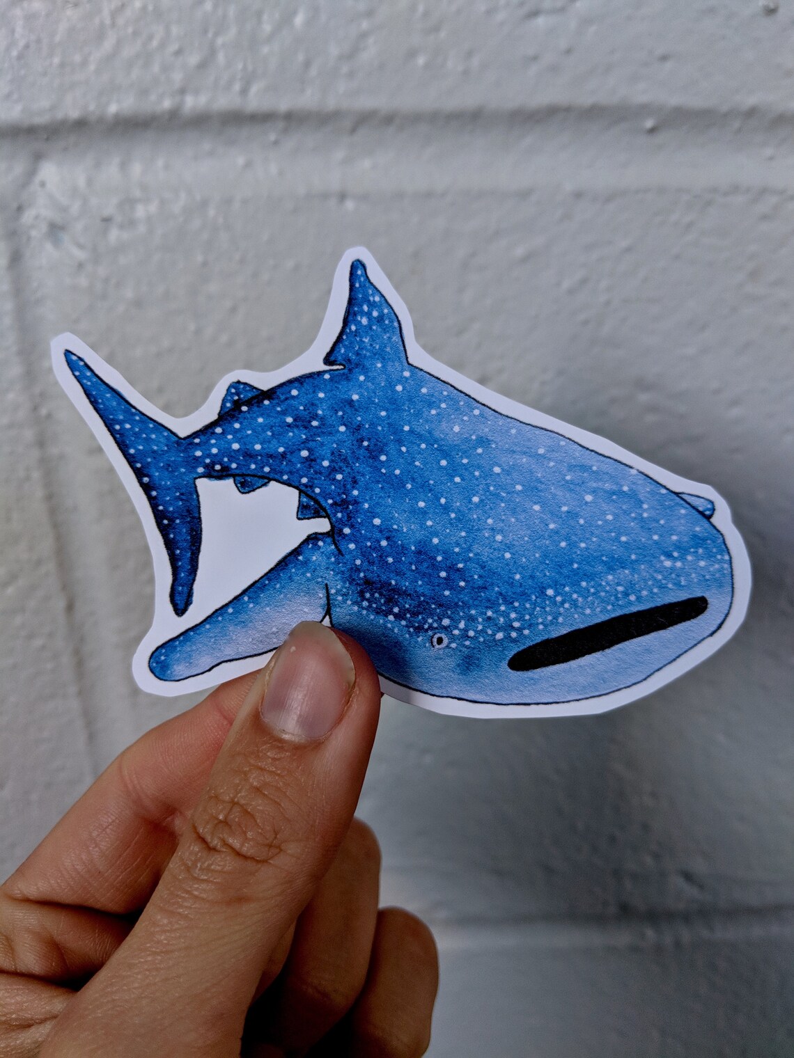 Whale Shark Sticker Whale Shark Fish Sticker Ocean | Etsy