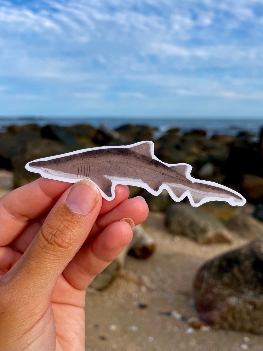 Sand Tiger Shark Sticker Sand Tiger Shark Sand Tiger Shark - Etsy