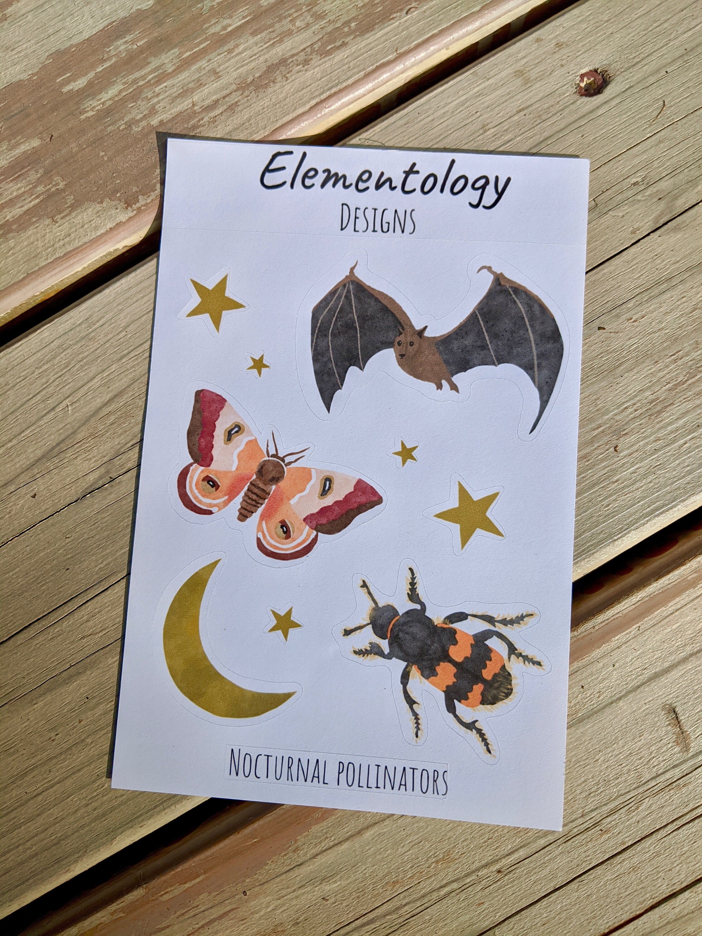 Nocturnal Pollinators Sticker Sheet Moth Sticker Bat - Etsy