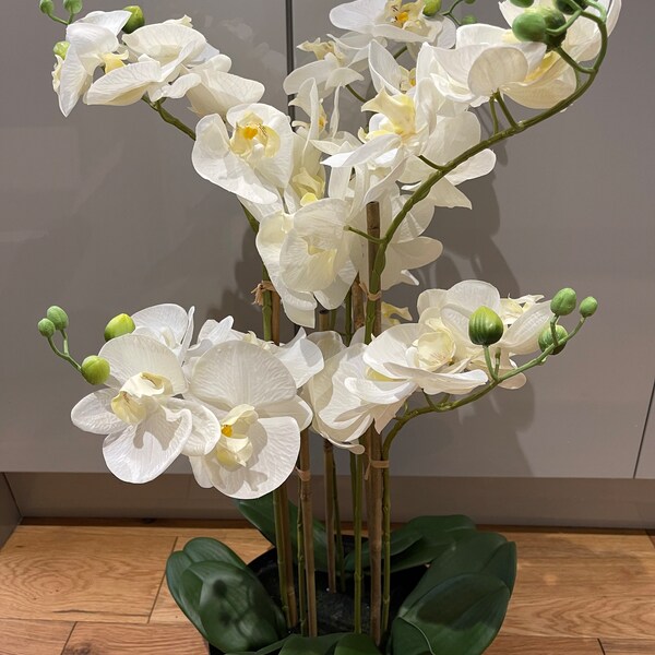 Real Touch Orchid - Etsy UK