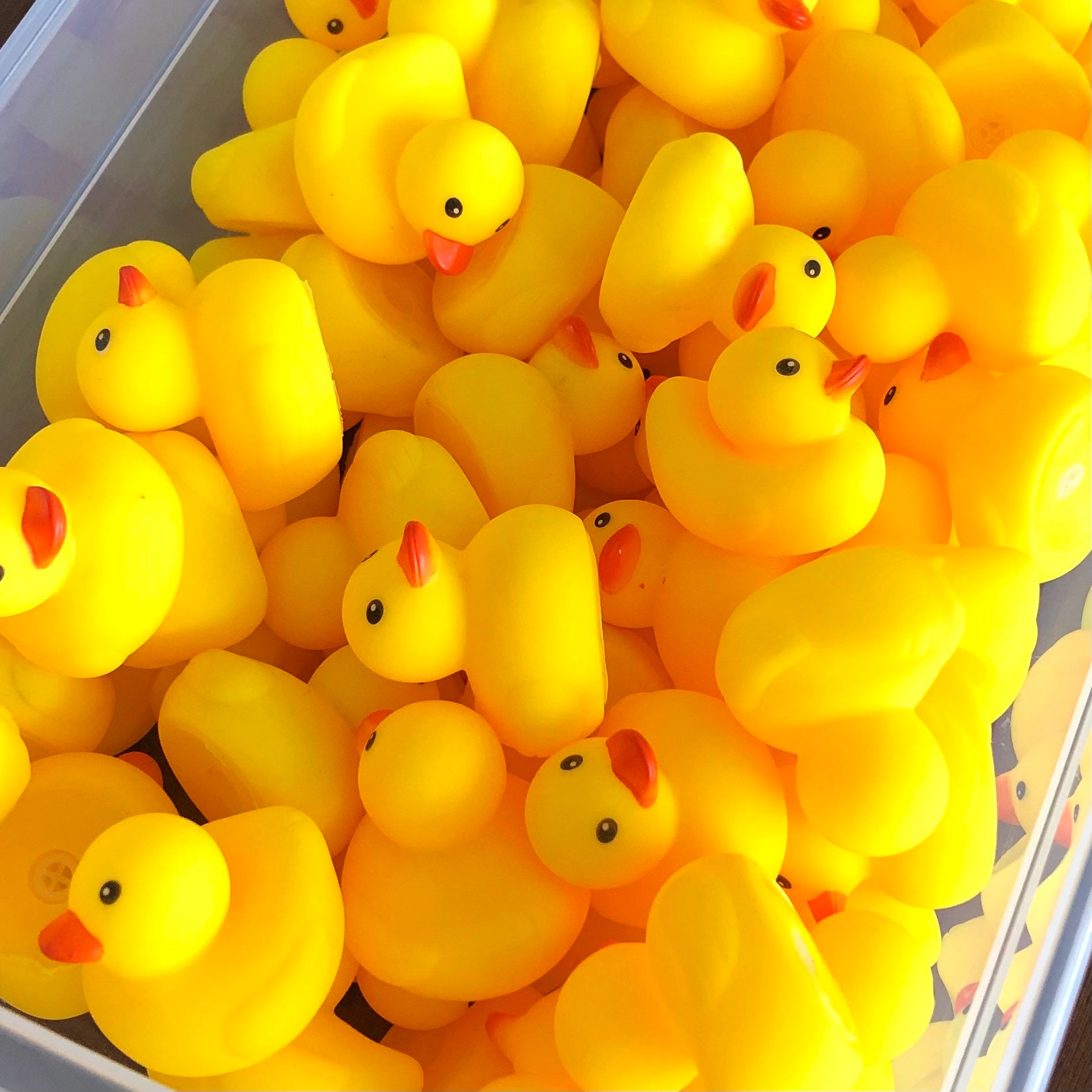 Lucky Duck Challenge Planner Stickers Reading Challenge - Etsy