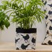 Blackbird Print Textile Plant Pot - Fabric Plant Pot - Storage Basket ...