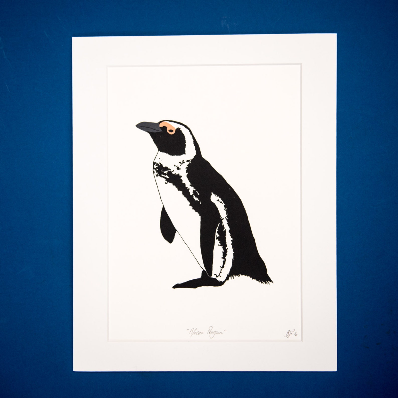 African Penguin Screen Print - Penguin Lover - Wall Art - Penguin ...