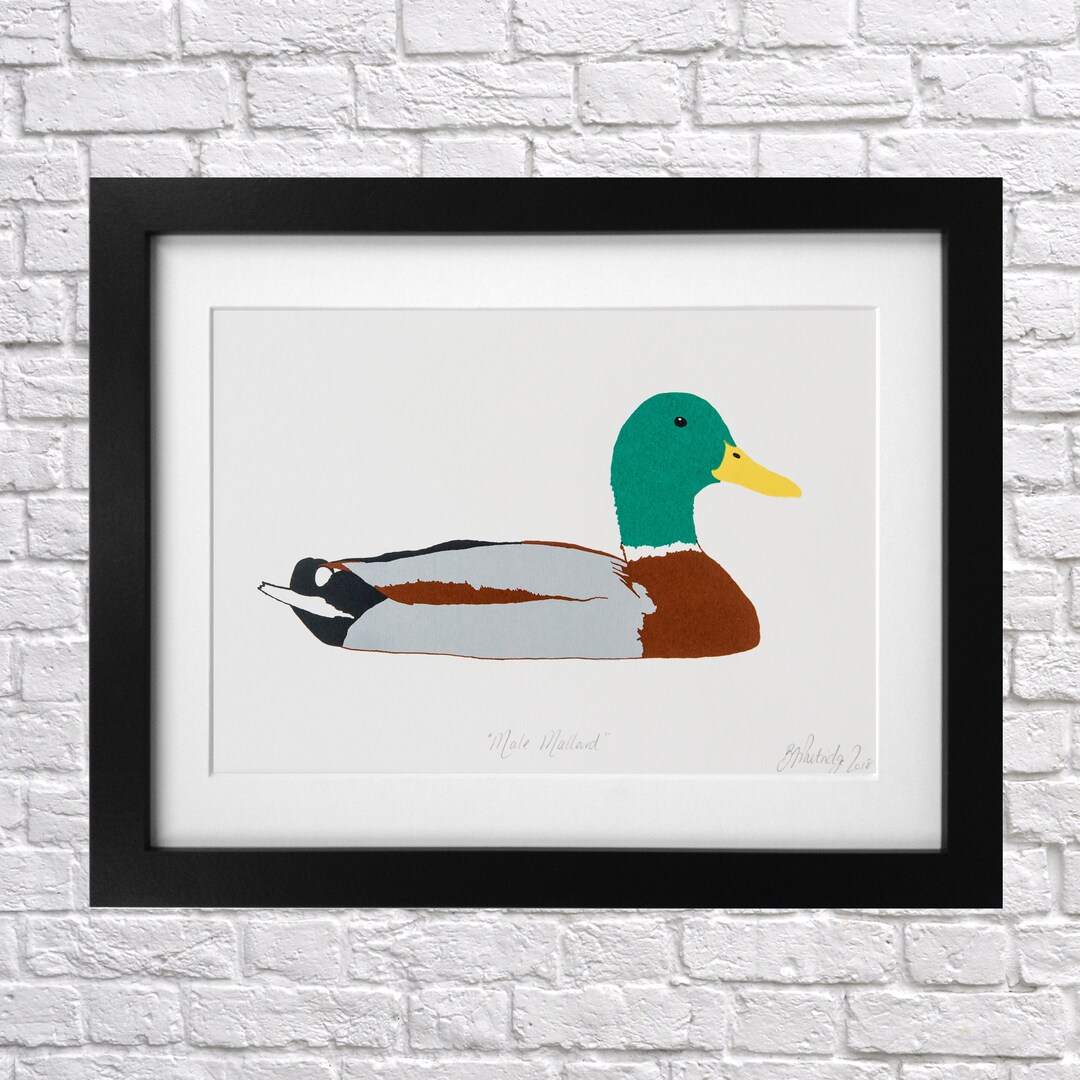 Male Mallard Duck Screen Print - Animal - Bird Picture - Bird Wall Art ...