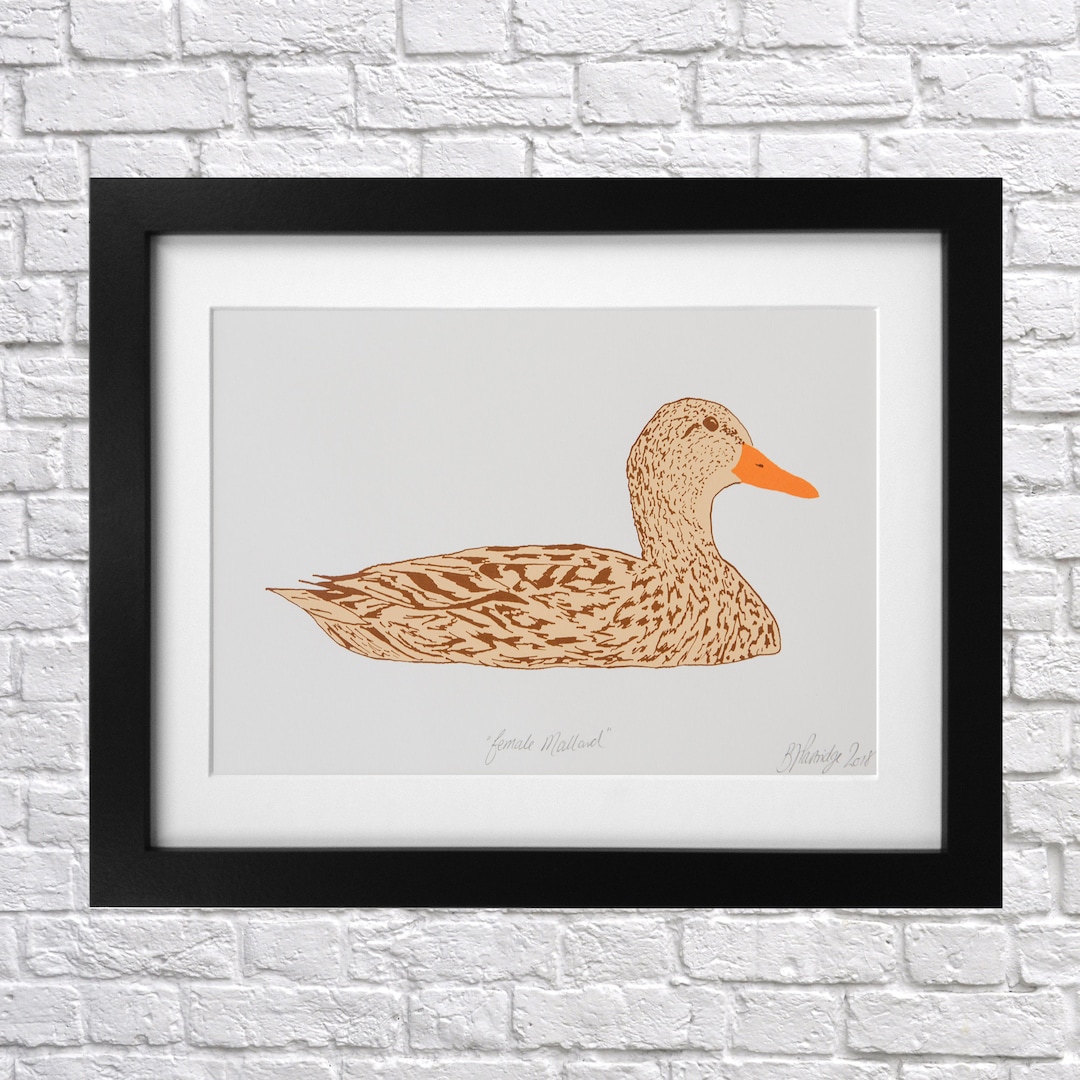 Female Mallard Duck Screen Print – British Bird Illustration - Etsy