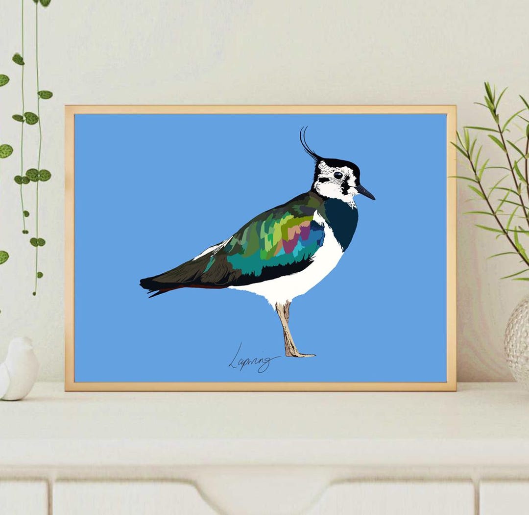 A4 Lapwing Print - Etsy