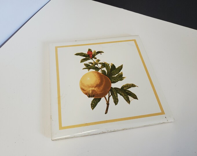 Besheer Art Tile, Trivet, Coaster, Wall Display - Vintage Blue Bird and ...