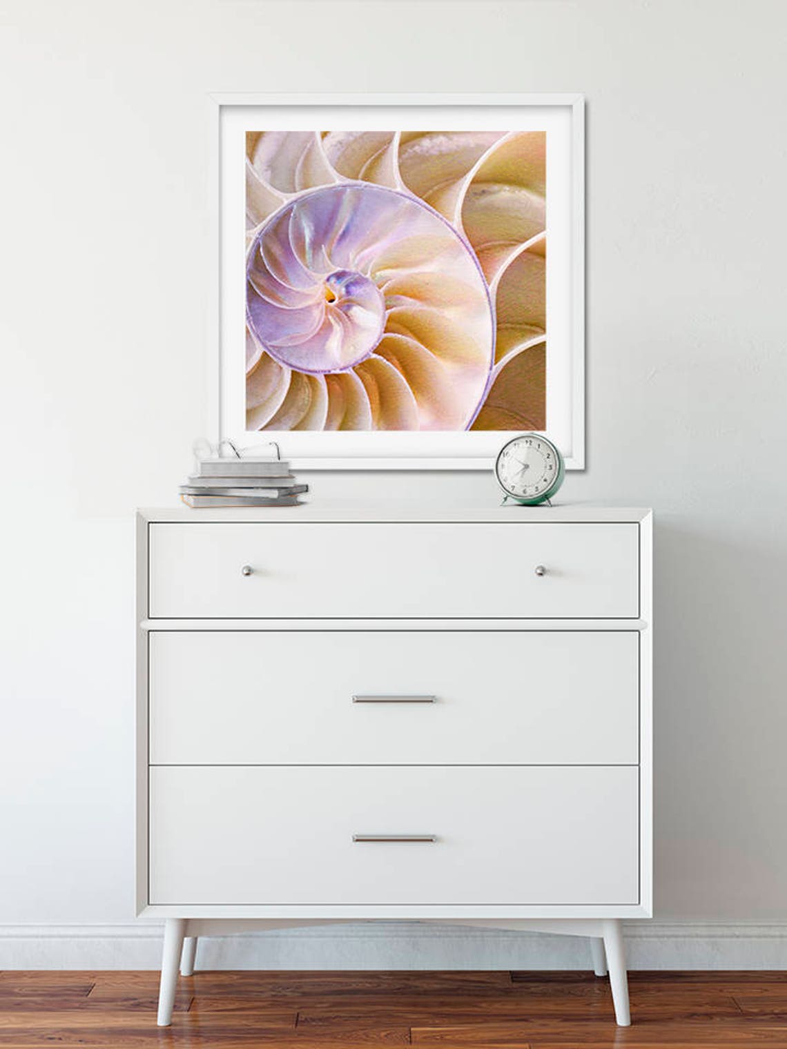 Pink and White Seashell Print Seashell Wall Art Coastal - Etsy