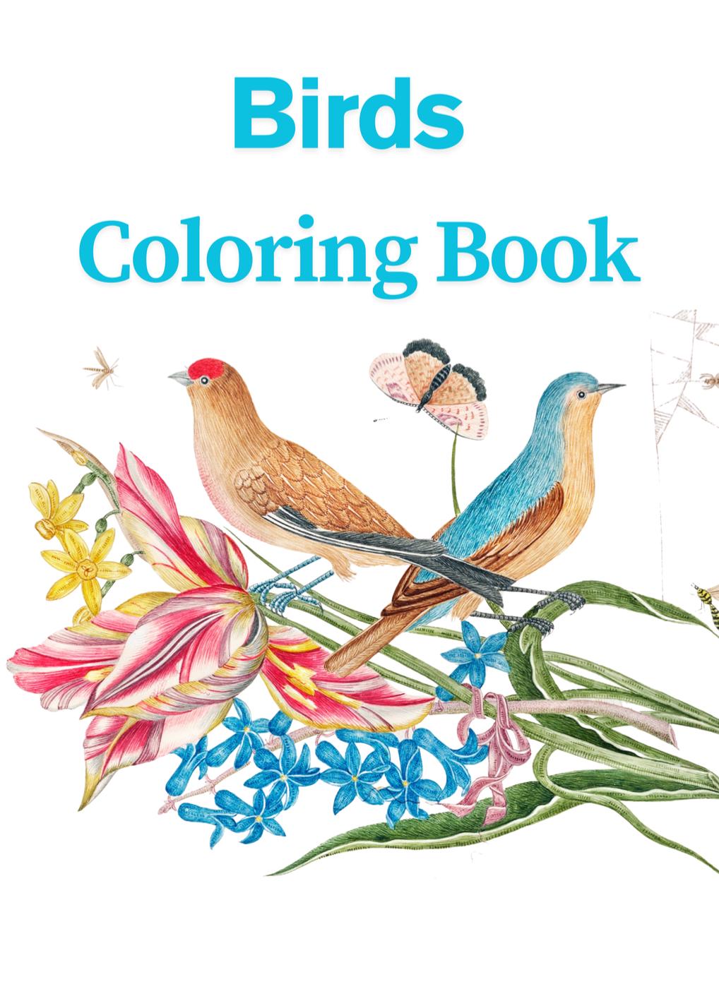 Birds Coloring Pages, Printable, Instant Digital Download, Adult Kid ...