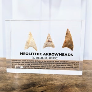 Neolithic Arrowheads Authentic Display Museum Decoration for STEM Students Classroom Desk Decor ...