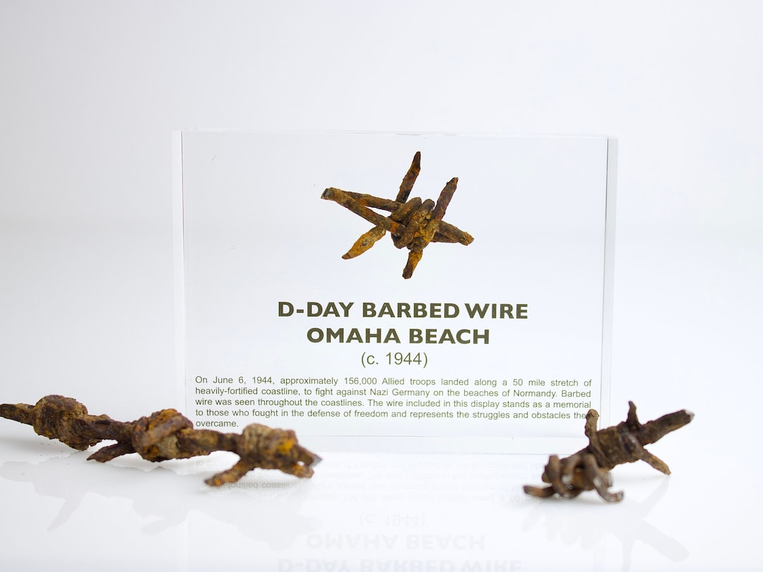 WWII D-day Memorabilia WW2 Barbed Wire Omaha Beach Battle Relics ...