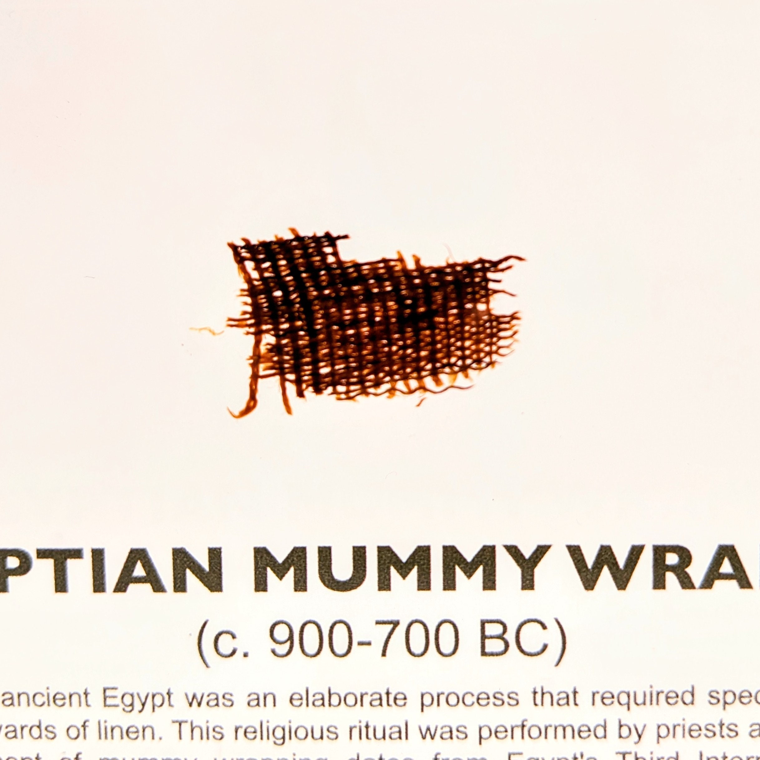 Authentic Egyptian Mummy Wrapping Fragment (c. 900-700 BC) (C.O.A ...