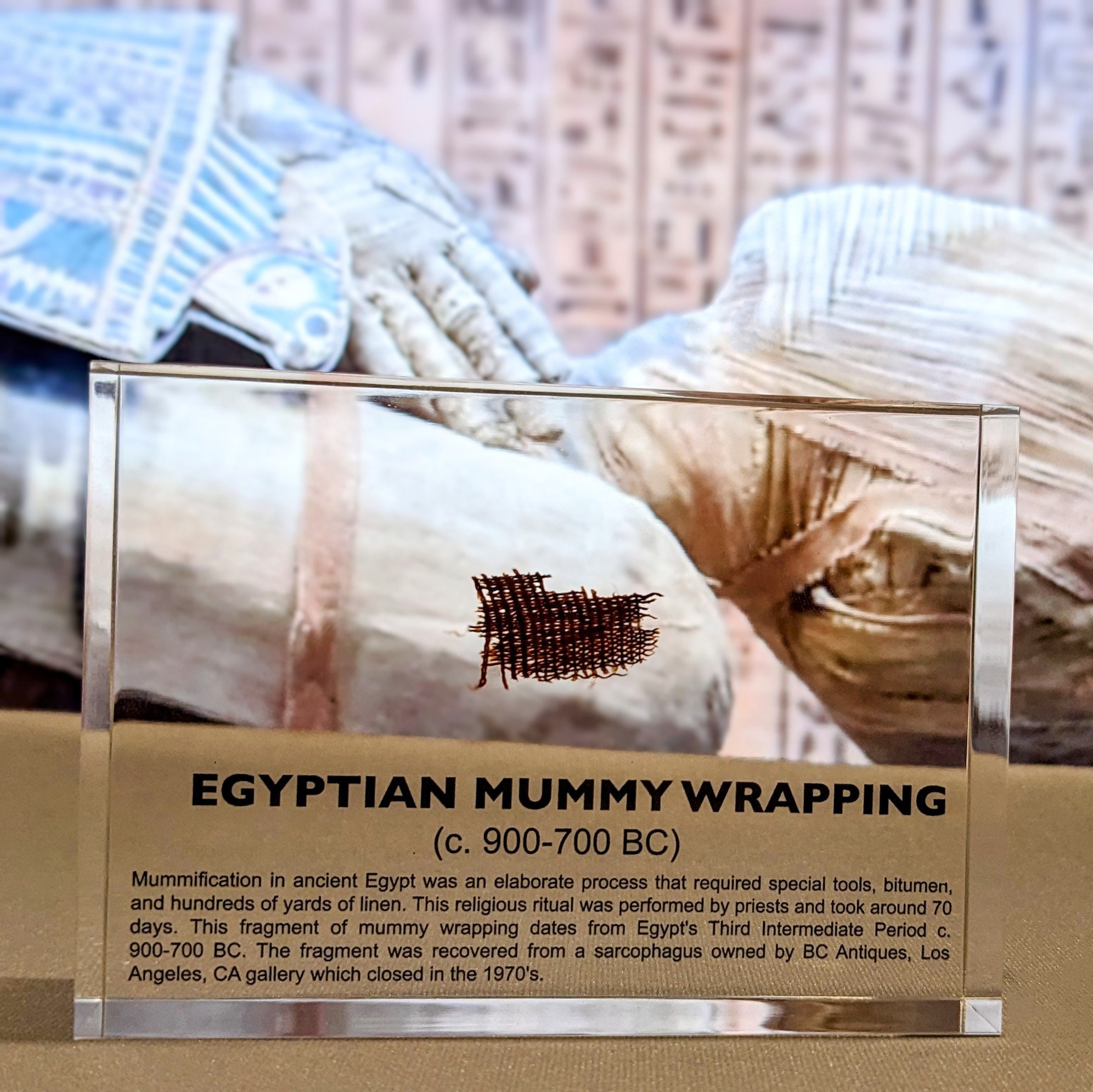 Authentic Egyptian Mummy Wrapping Fragment (c. 900-700 BC) (C.O.A ...