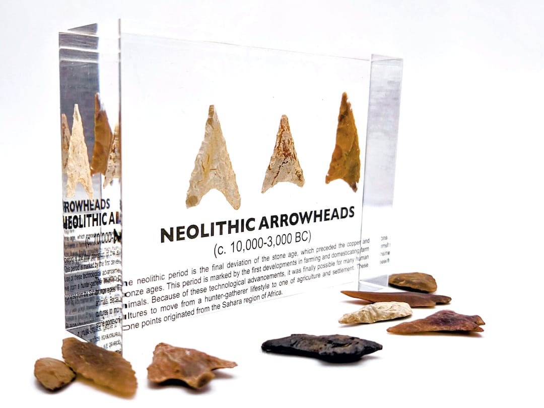 Neolithic Arrowheads Authentic Display Museum Decoration for STEM ...