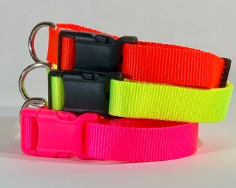 Neon Dog Collar - Etsy
